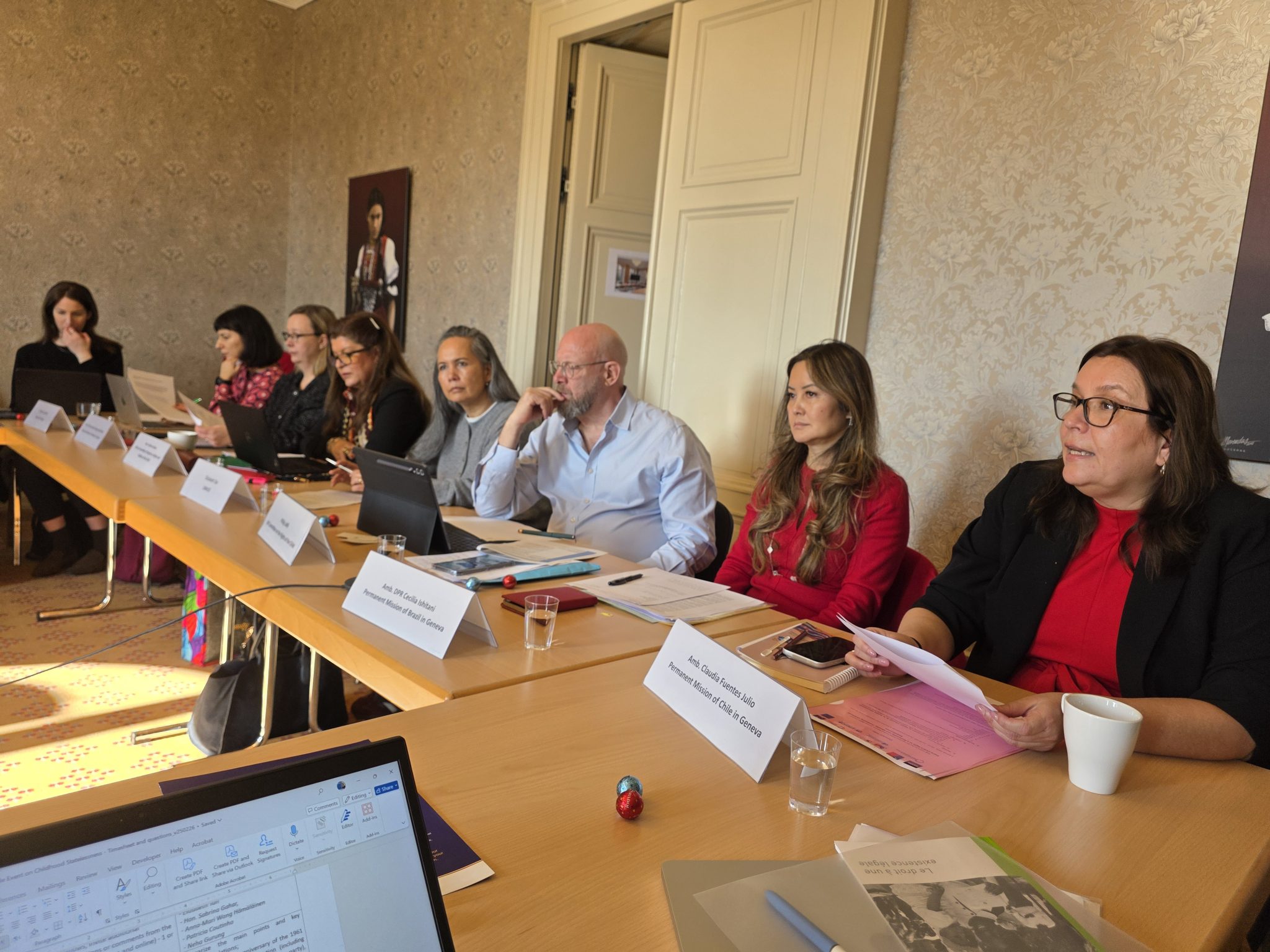 Human Rights Council side event highlights solutions to childhood ...